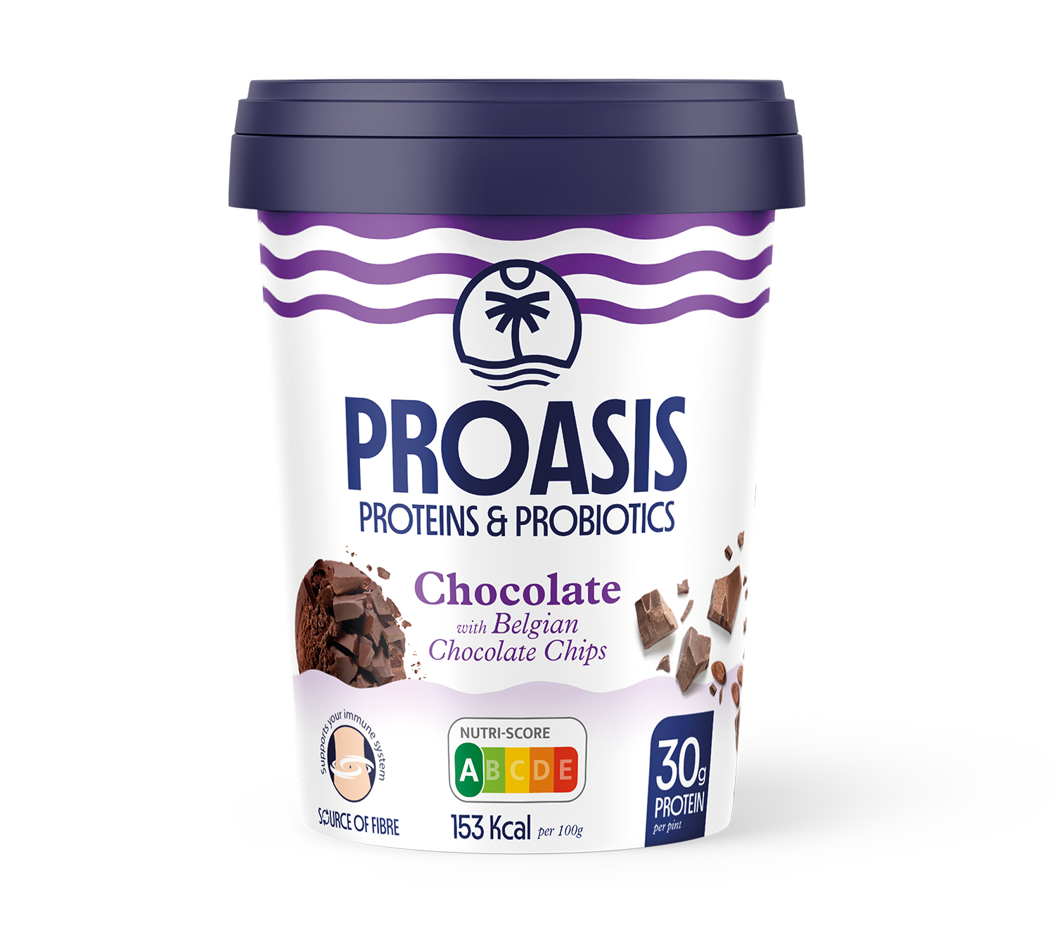 Helado de Chocolate con Pepitas de Chocolate Belga | Proasis
